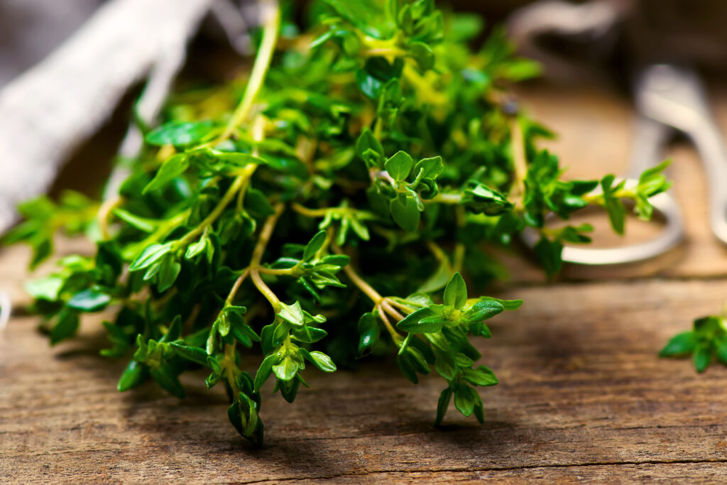 5 Traditional Herbs in Pakistan